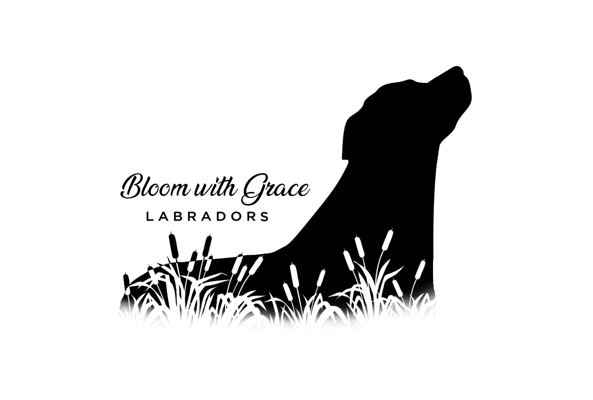Bloom with Grace - OVER ONS